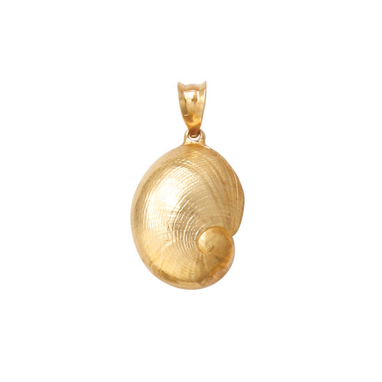 Large Baby's Ear Shell Pendant, 14Kt - Cedar Chest Sanibel